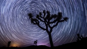 The Three levels of Ultimate Reality – Indian Philosophy